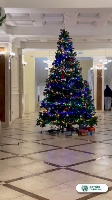 Новогоднее настроение ВГЛТУ