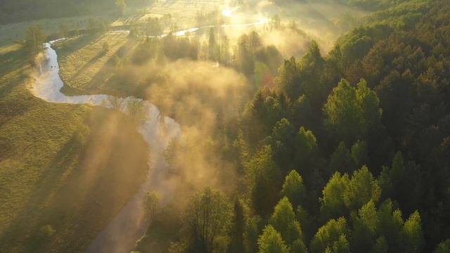 © Прогулка (стихи: Михаил КОРЯКИН)