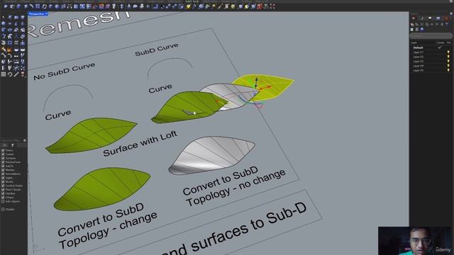 13 - Rhino SubD Convert Quad Remesh