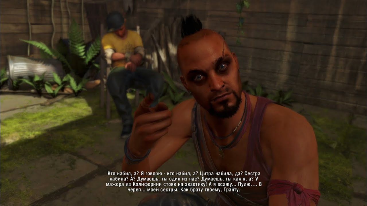Far Cry 3 #2