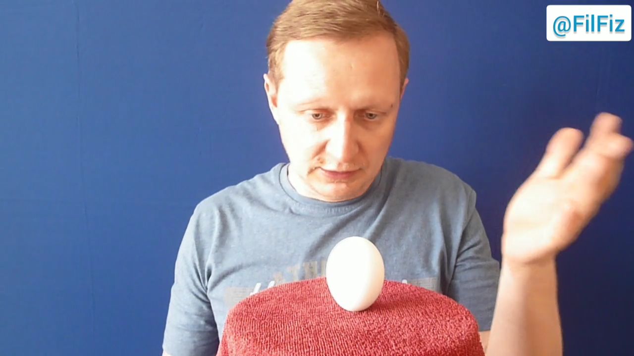 Устойчивое яйцо