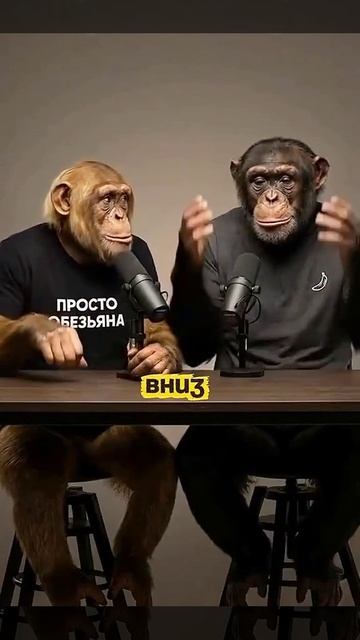Нейросеть видео Влог обезьяны