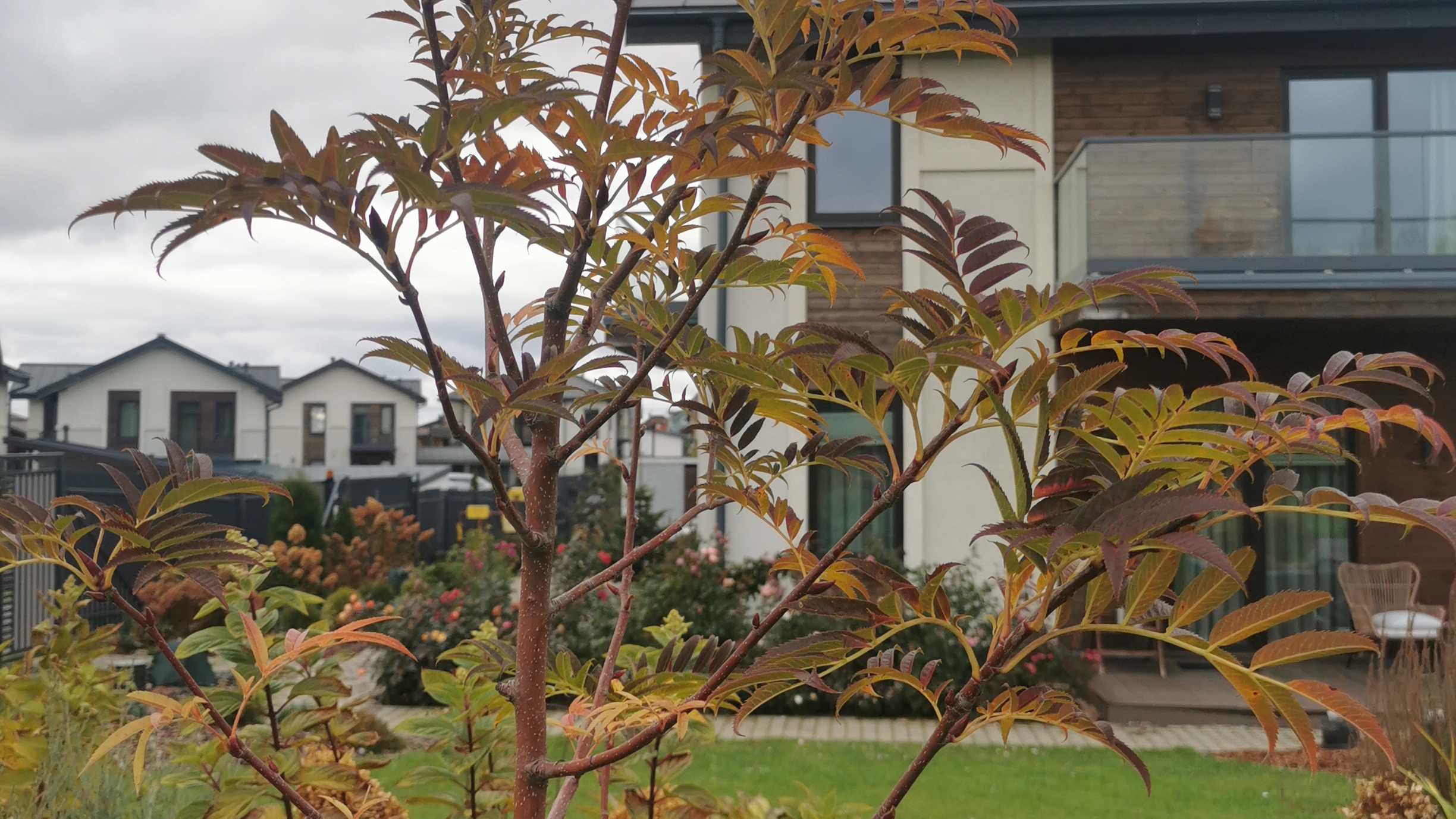 На пустоши растим сад. Каким был 2025 г. Восток Ленинградской области