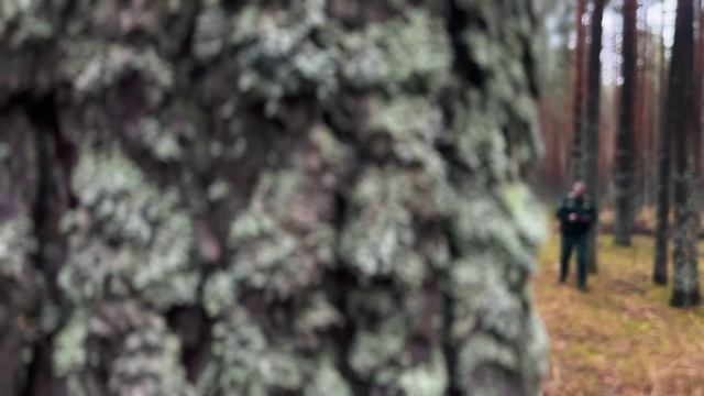 Руководитель Арзамасского межрайонного лесничества Дмитрий Садов