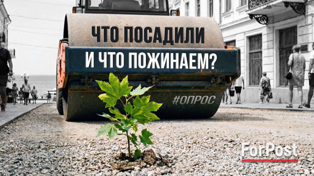 Кто спасёт зелёный Севастополь от бетона? — опрос ForPost