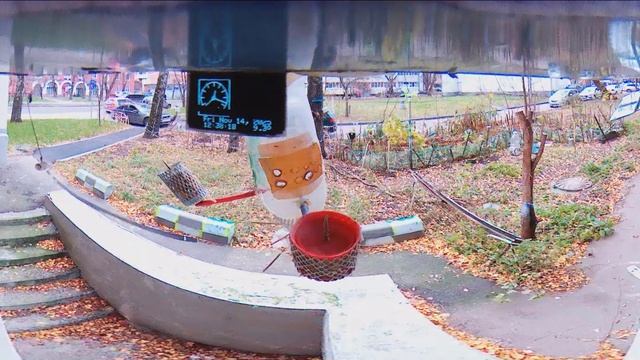 Под окном 2025 нояб 01 - 30 не только кошаки и собаки