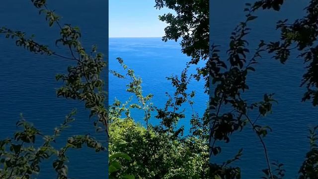 На дальней станции сойду (из к/ф "По Секрету Всему Свету" 1976)📽 Сочи 2024☀️🌿🌊