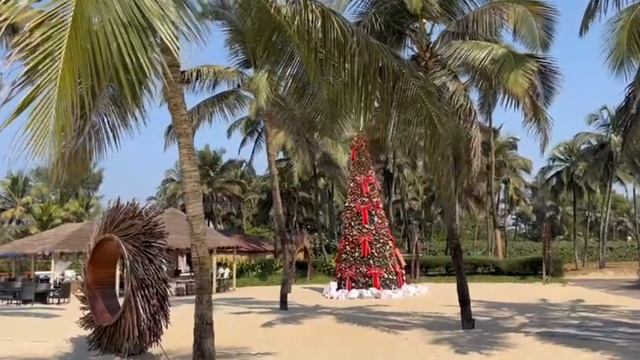 Новогодняя ёлка на пляже в Южном Гоа