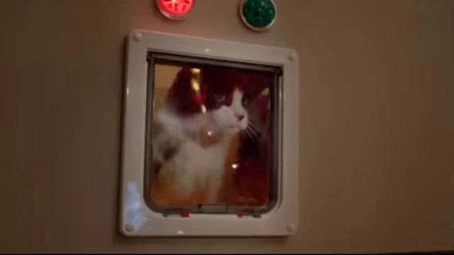 Кошачий Новый  Год