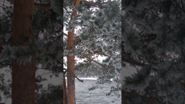 №101 Выравнивание космических потоков