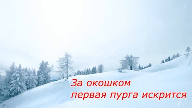video308819906_456240261-720 (1)