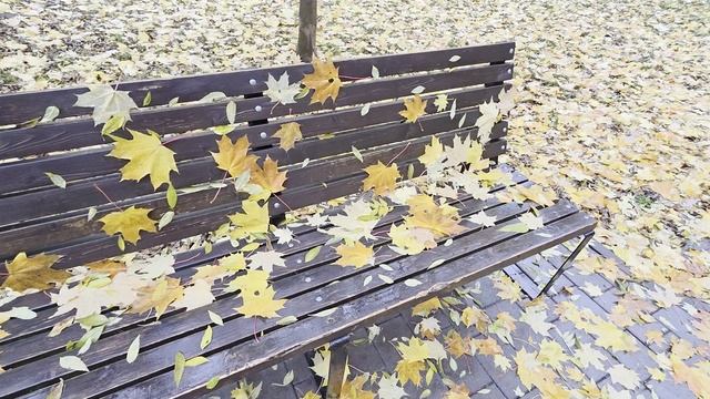 Позвонила осень 2025