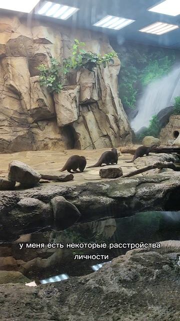 Поездка в океанариум