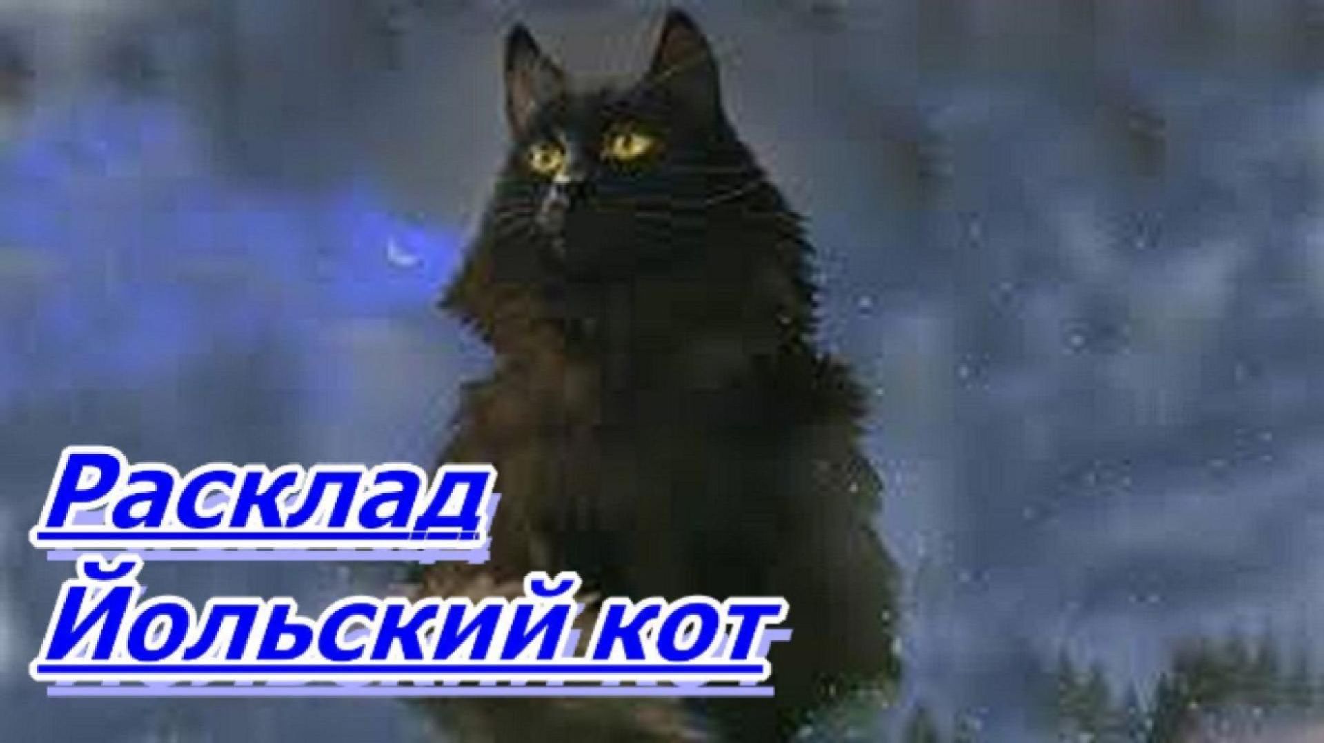 ЙОЛЬСКИЙ КОТ