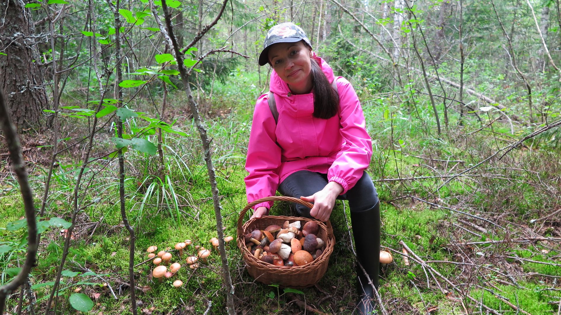 В ЛЕСУ НЕ ЖИВУ, А БЕЗ ГРИБОВ НЕ СИЖУ – Собираю Белые грибы и Подосиновики в нашем Подмосковье