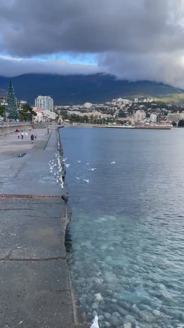 Набережная и ее постоянные  обитатели 🕊️