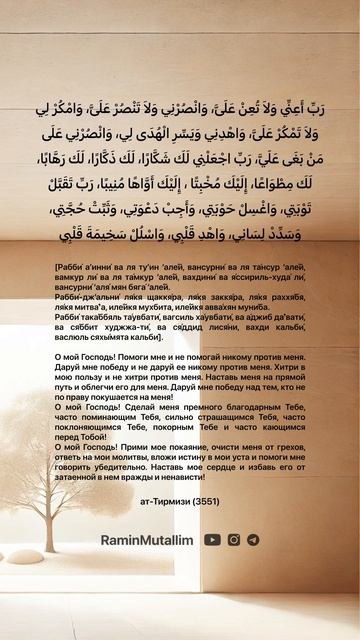 📖 Nº27 ДОСТОВЕРНЫЕ МОЛИТВЫ ПРОРОКА ﷺ