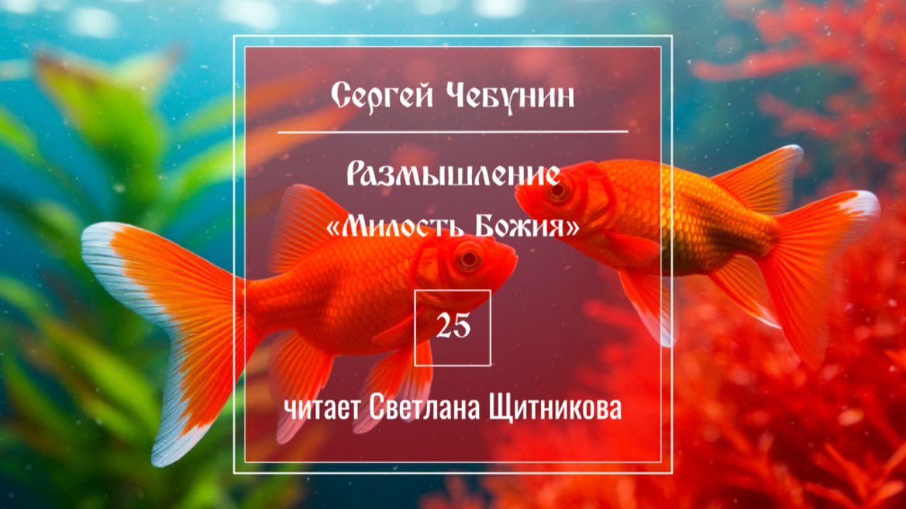 Размышление 25 (автор Сергей Чебунин, читает Светлана Щитникова)