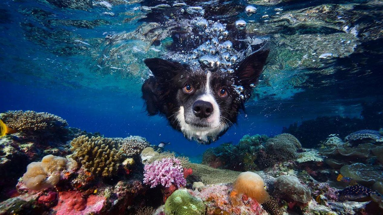 Мультики для детей . Развлекашки для детей . Развлекательный канал