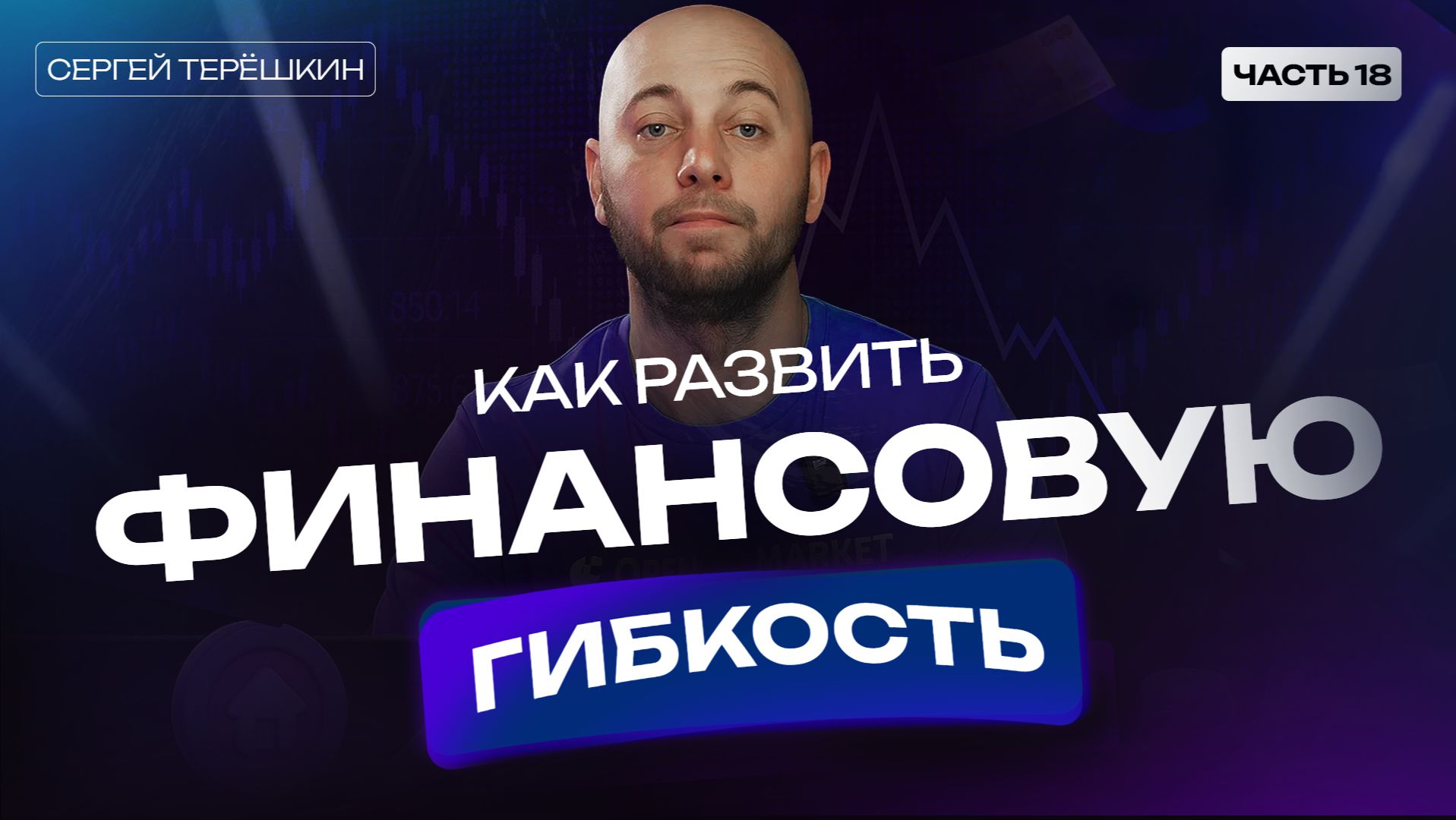 Как развить финансовую гибкость