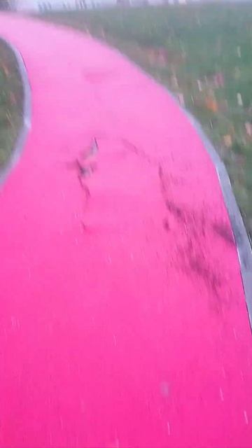 Вечерняя Ходынка  #shorts_video  #настроениеосень #мск #nature