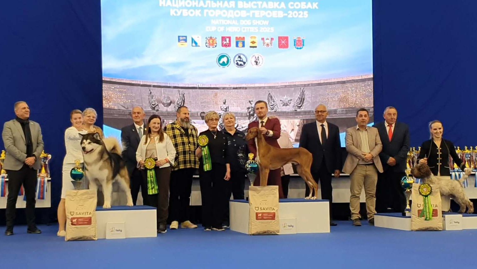 12.12.2025, СПб. Клуб СПбГКСС-1 (РКФ, РФСС). Рейтинговая выставка КУБОК ГОРОДОВ ГЕРОЕВ (САС, ЧРКФ)