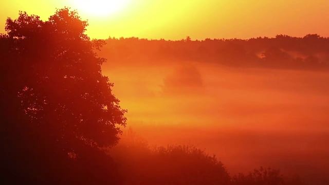 video308819906_456240003-1080