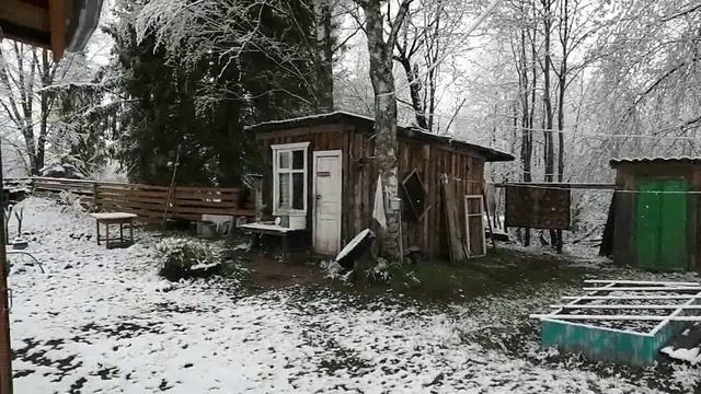 Зима