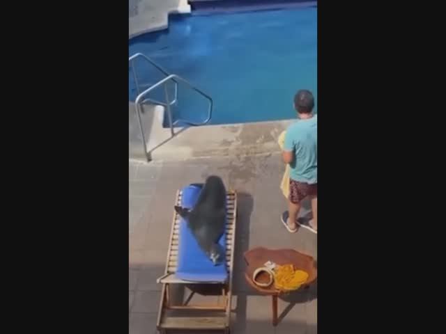 Понаехали Let's come in large numbers