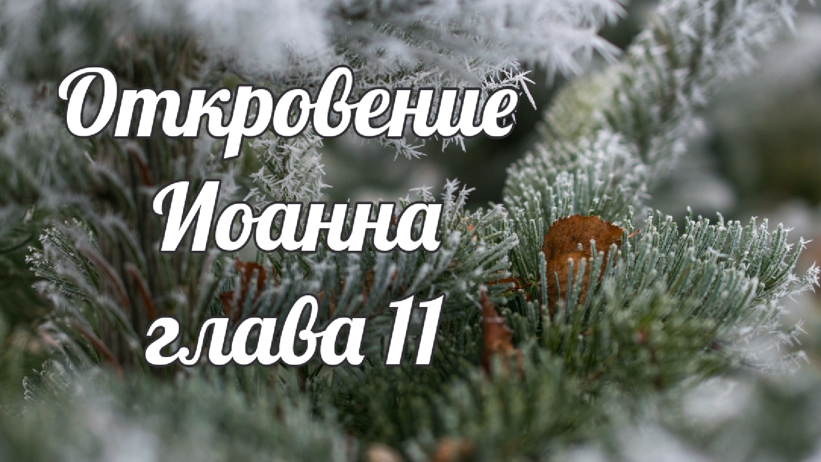 Откровение Иоанна глава 11