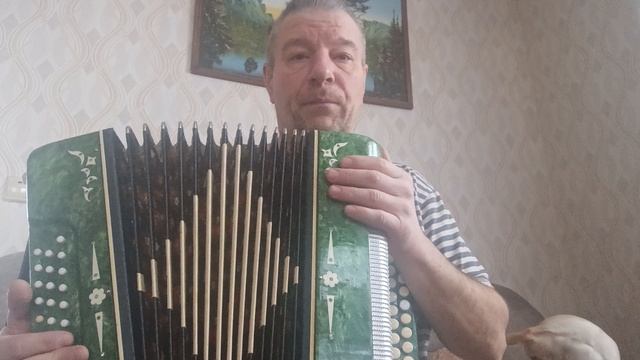 Учусь играть на гармони