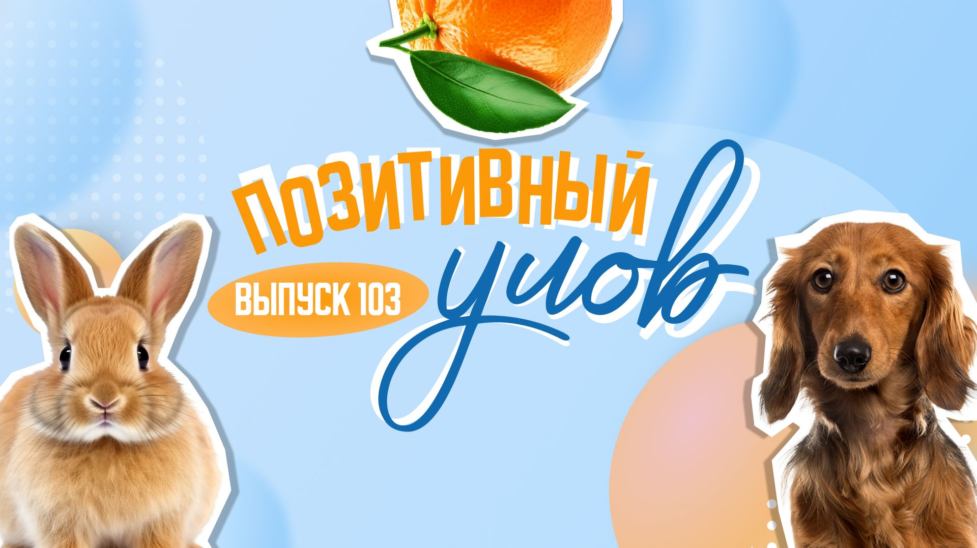 Такса-Робинзон и "снежные портреты". "Позитивный улов"