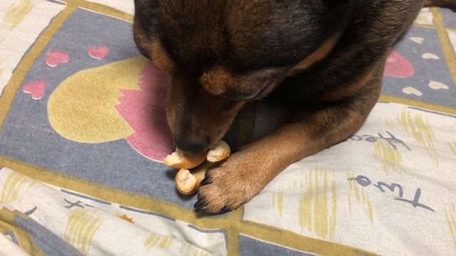 Принц Маринович