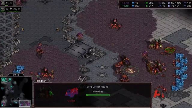 FlaSh endorses the FIREBAT META ! - ArtosisCasts