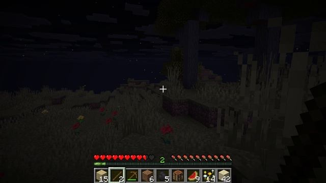 Майнкрафт с Барсом.