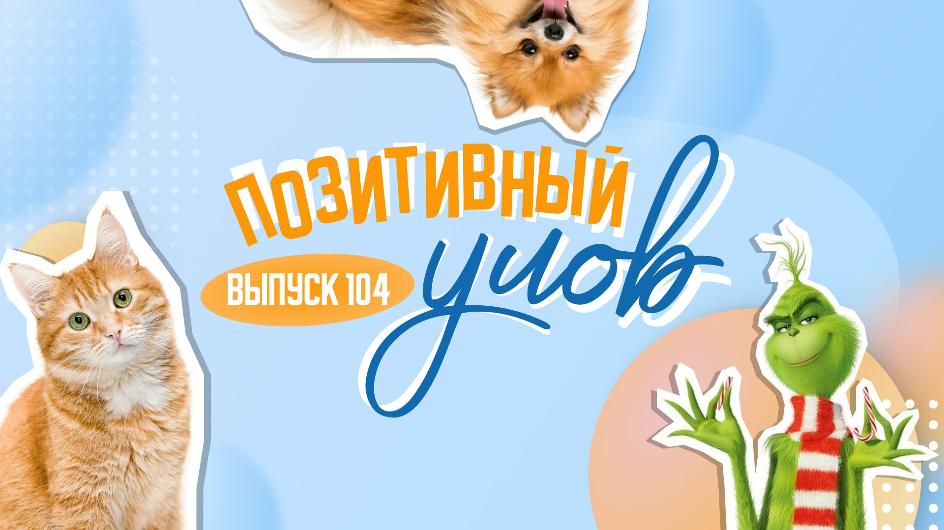 Домашняя корова и маникюр со скумбрией. "Позитивный улов"