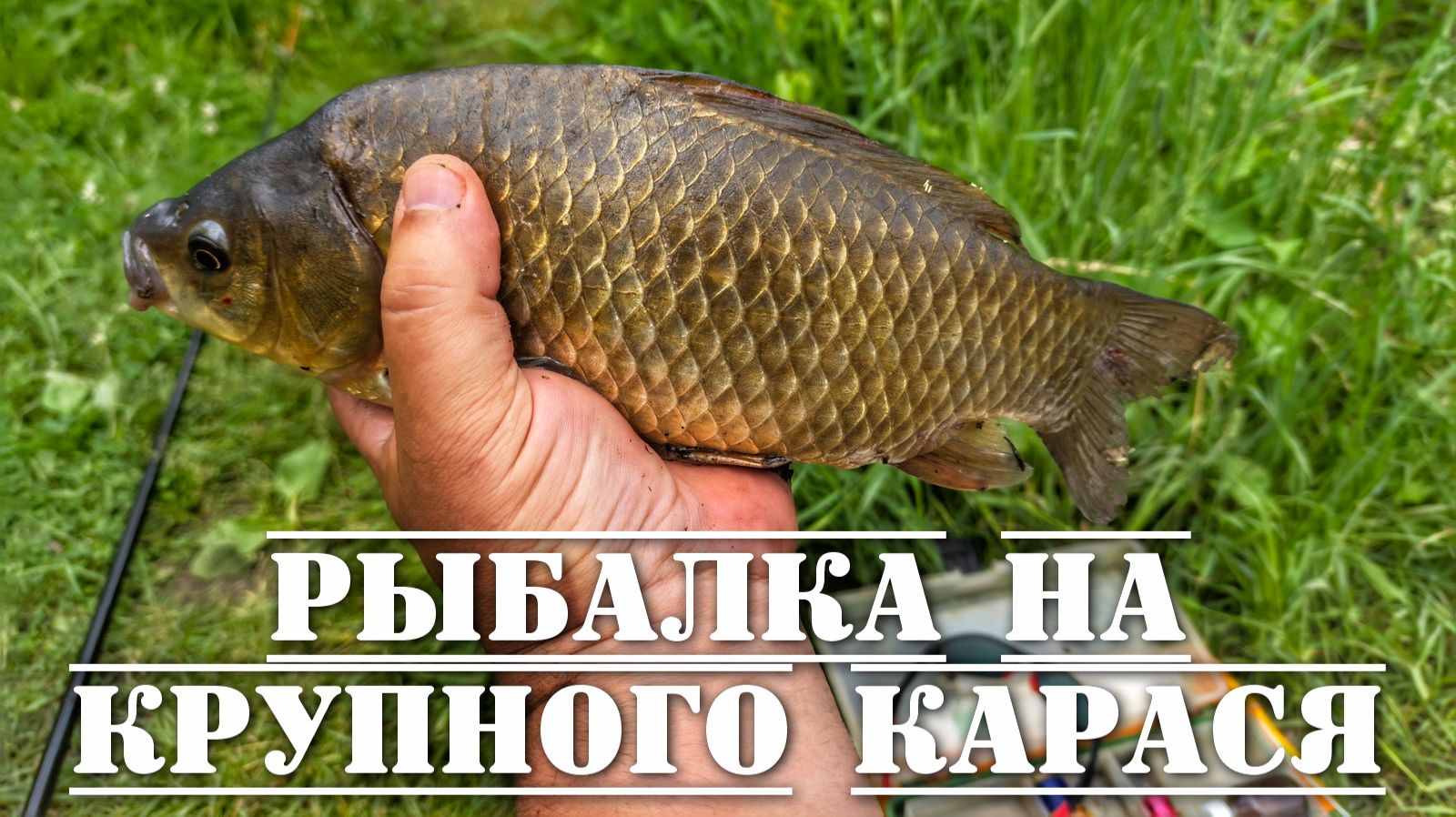 Рыбалка на крупного карася поплавочной удочкой лучшая прикормка