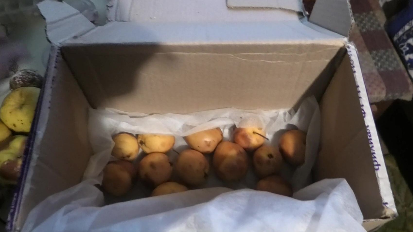 7-19 12 25г дачные будни