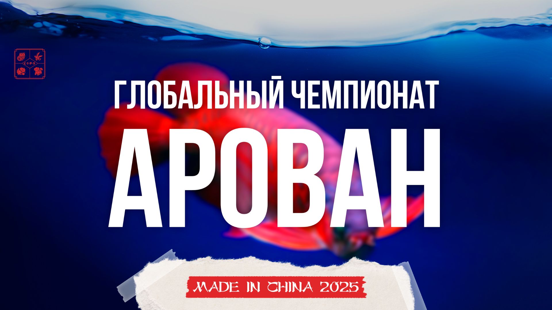 Глобальный чемпионат Арован в Китае