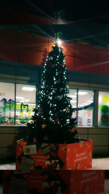 vk_20211210_170657_1Ёлка у магазина 🎄