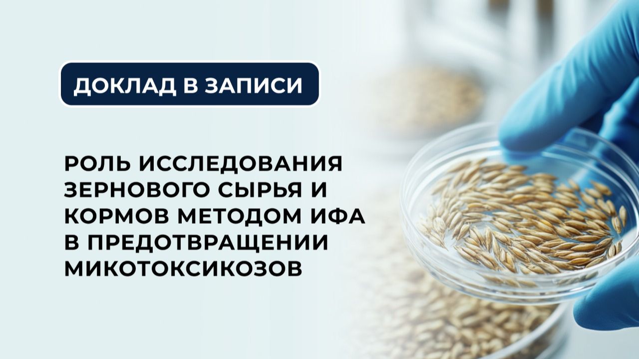 Роль исследования зернового сырья/кормов методом ИФА в предотвращении микотоксикозов у с/х животных