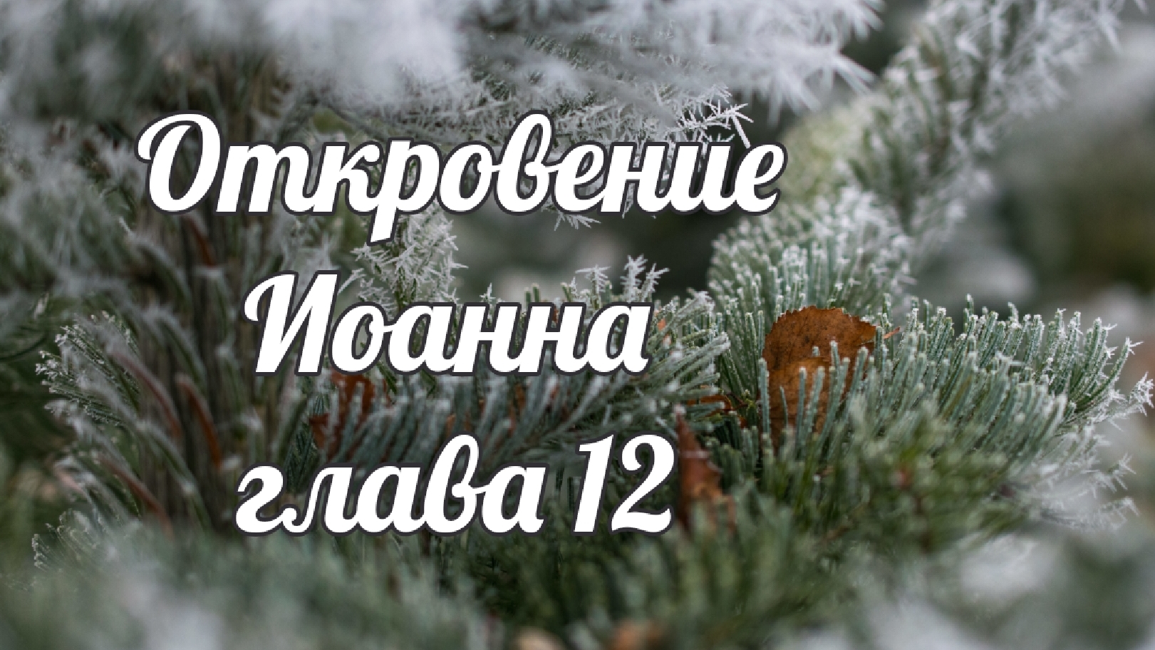 Откровение Иоанна глава 12