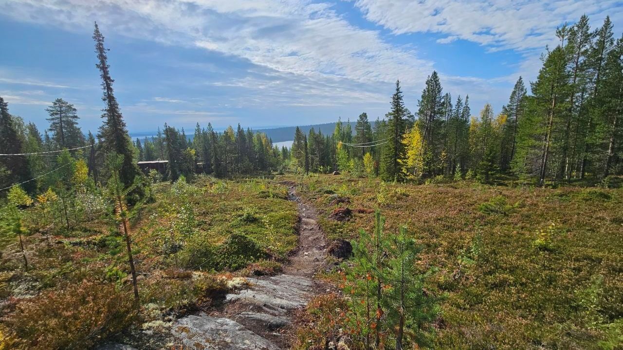 На краю ночи