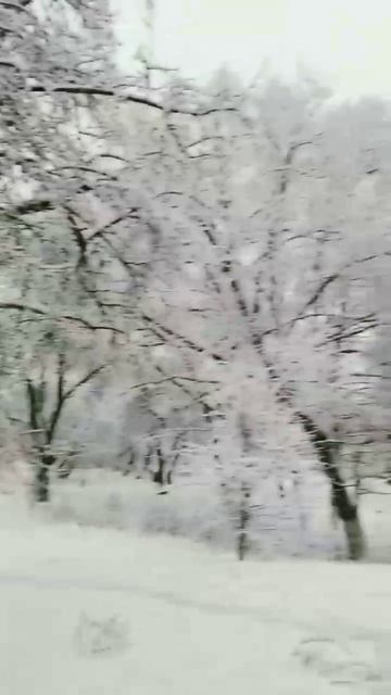 vk_2021-12-08-191125249_1