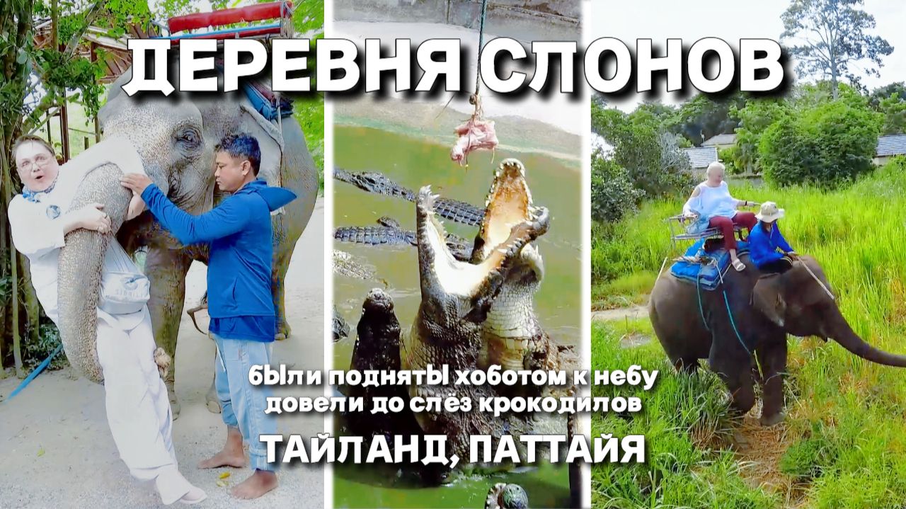 Тайланд. Хоботы и зубы. Невероятный день среди слонов и крокодилов: наши эмоции в Паттайе