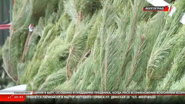 Региональные новости 19.12.25