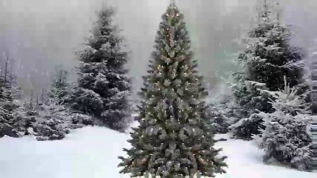 Поздравление ПОДПИСЧИКАМ. Песни Маргариты Майской