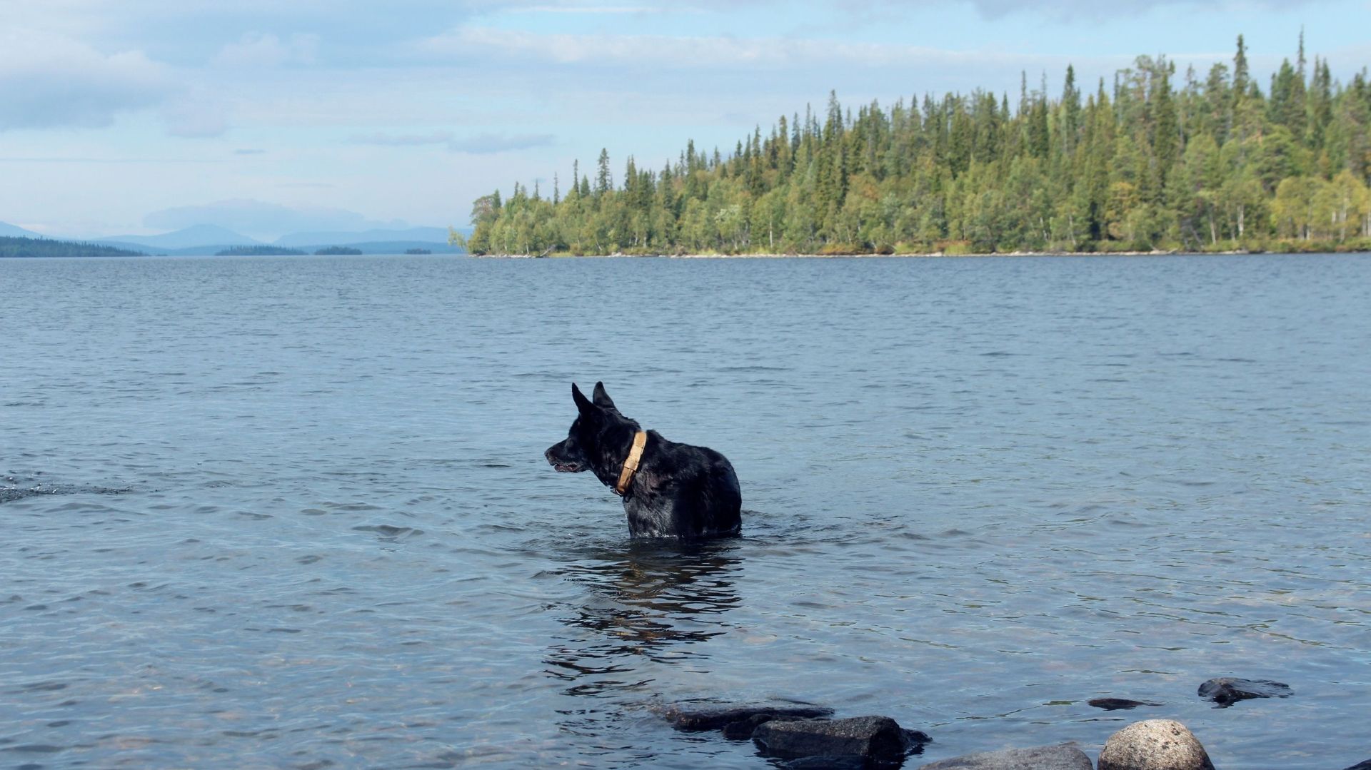 Грустная мелодия любви