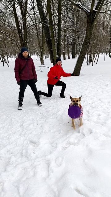 Спортивный метис Ника - вольт от спины