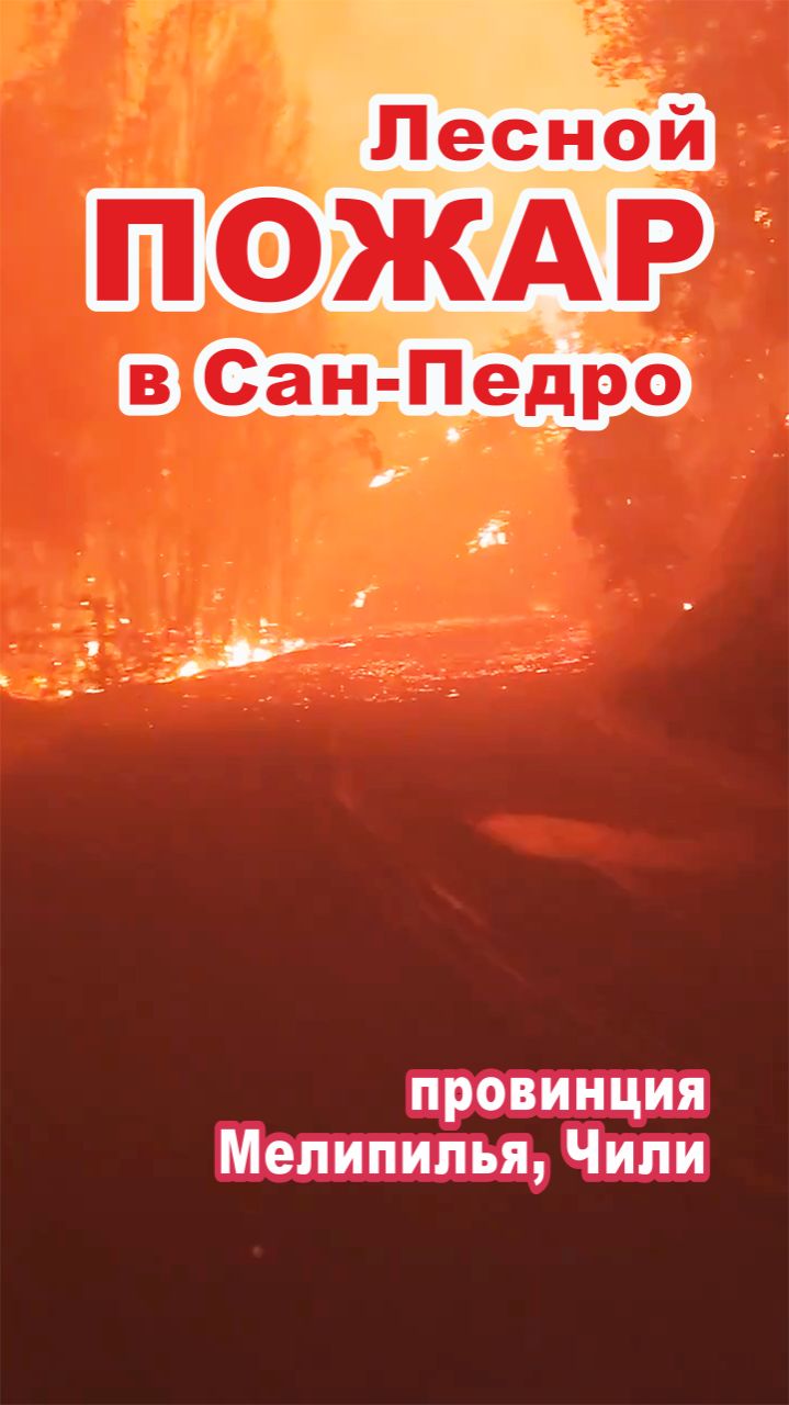 Лесной пожар произошёл в Сан-Педро, провинция Мелипилья, Чили 🔥🌲